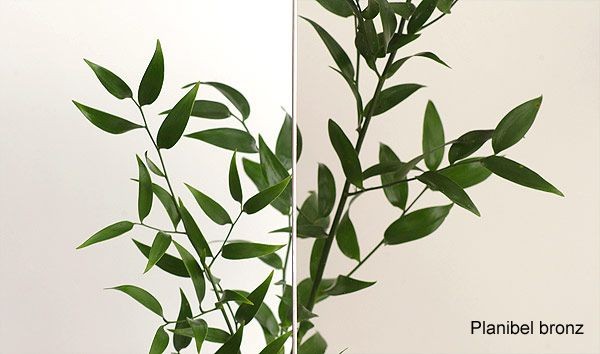 Dobré Dveře | Interiérové dveře Sonet 2 SOLO 3D | Profi e-shop